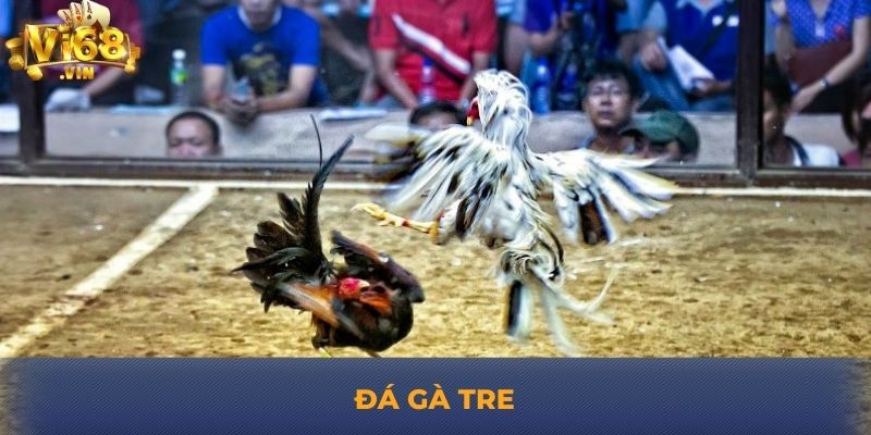 Vi68 - Tải Vi68 cho điện thoại APK và IOS không bị chặn